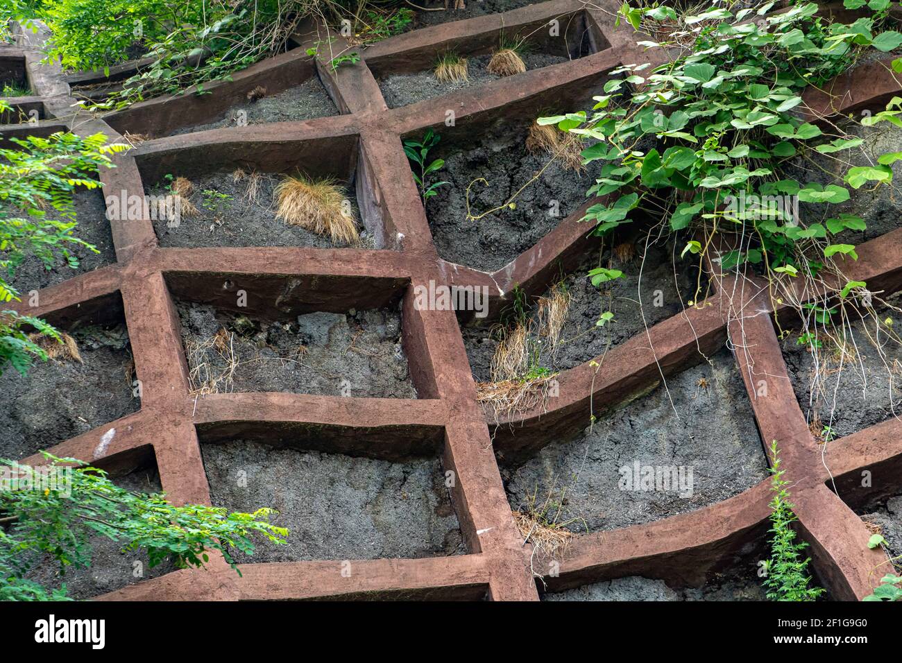 Stabilizing concrete grid in forest over road, Japan Stock Photo - Alamy