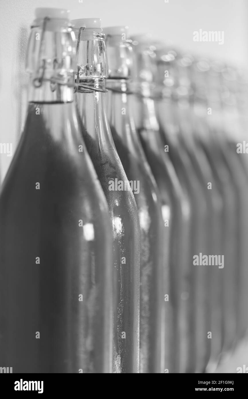 Black and white photo of a row of flip top bottles of home made cider ...