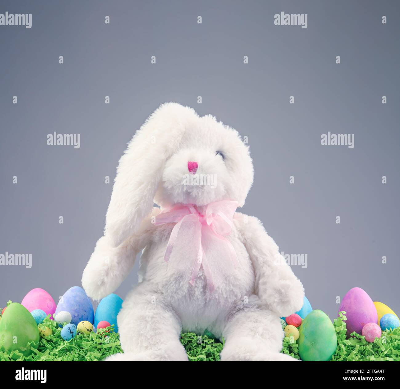 Stuffed animal Easter Bunny surrounded with painted Easter eggs and ...