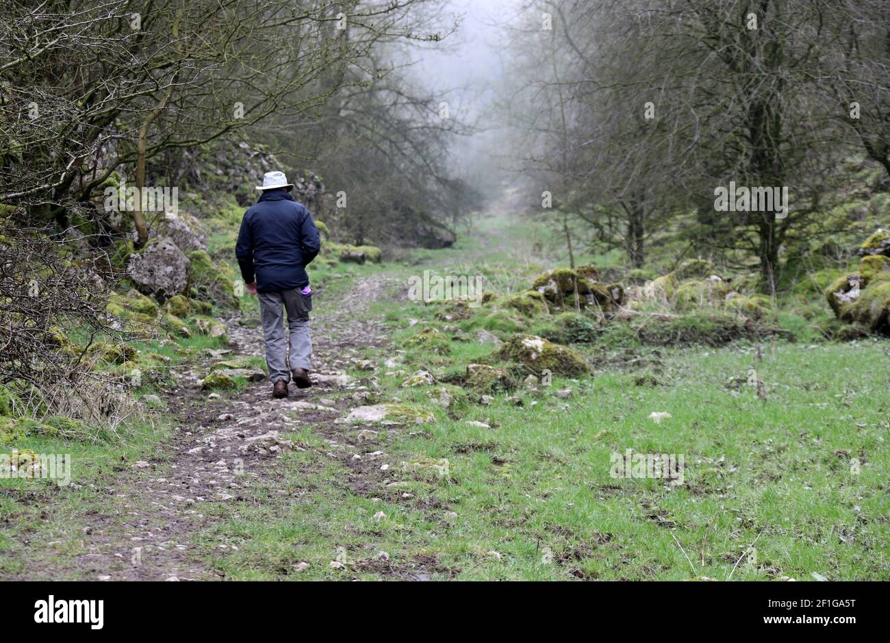 Peter Dale in Derbyshire which is between Hay Dale and Monks Dale Stock ...