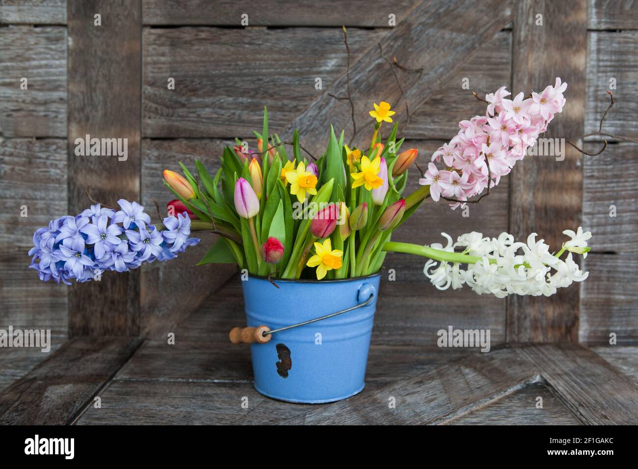 Colorful spring flowers in rustic bucket Stock Photo - Alamy