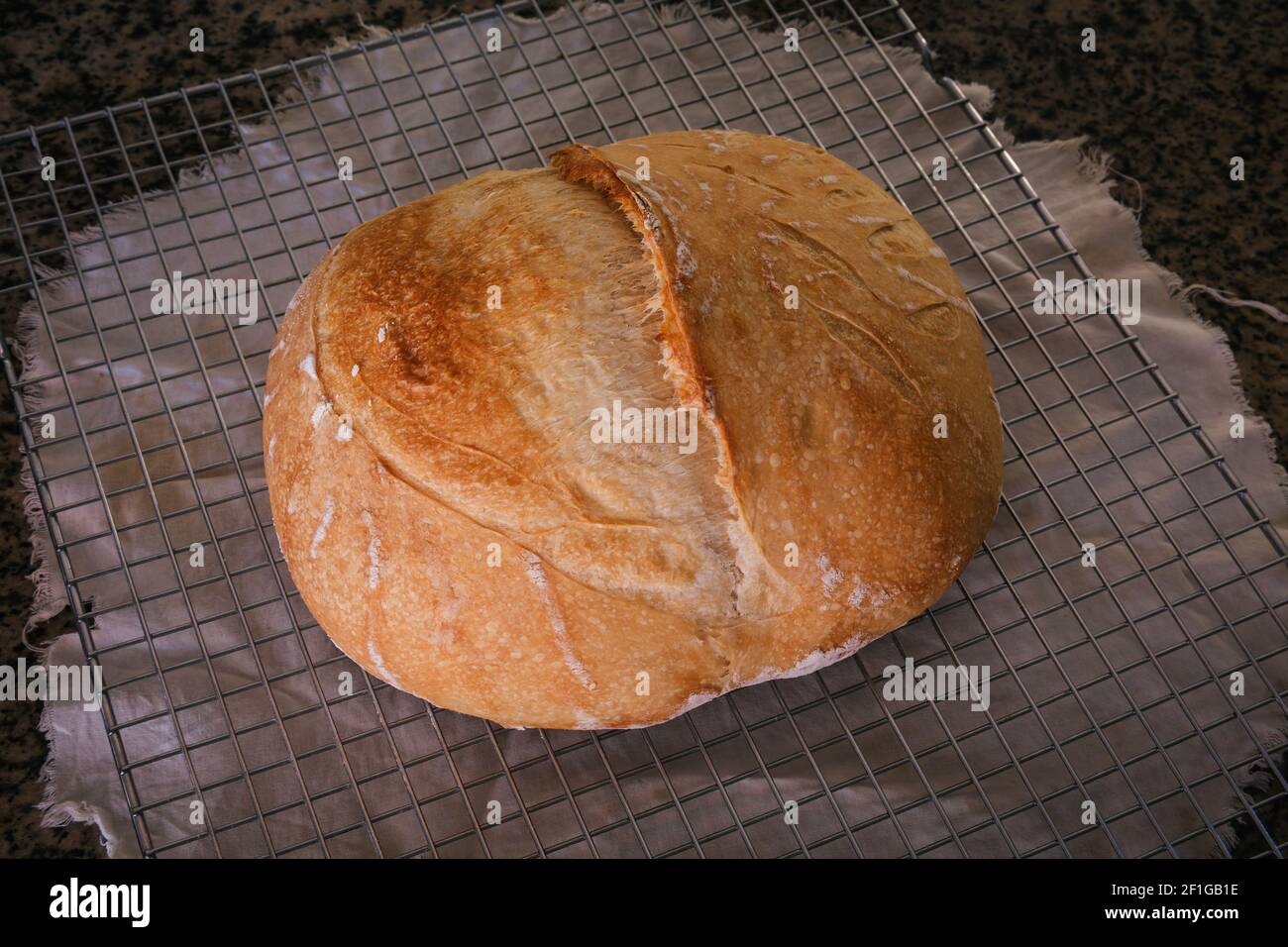 Crusty sourdough bread loaf, baked, resting on cooling grid, ready to ...
