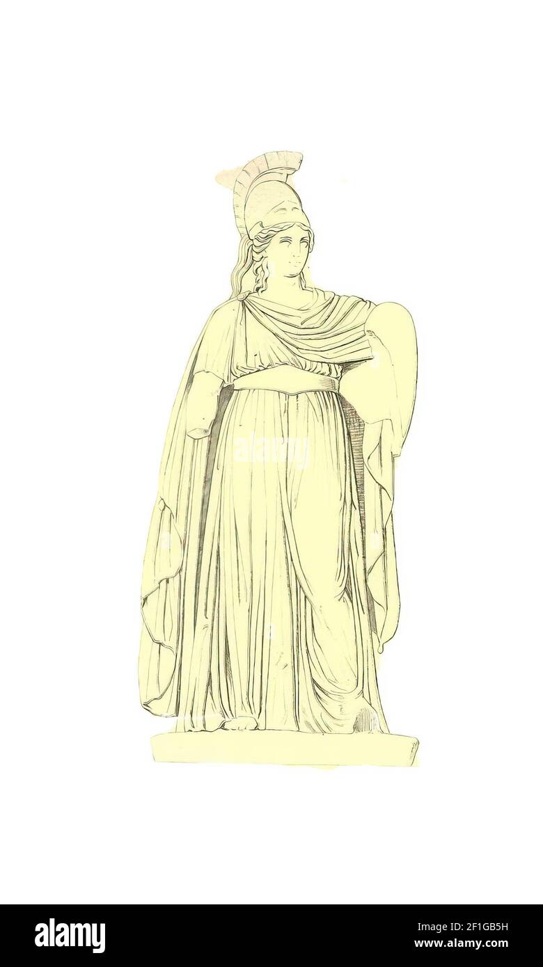 An illustration of the portrait of Athena isolated on a white ...