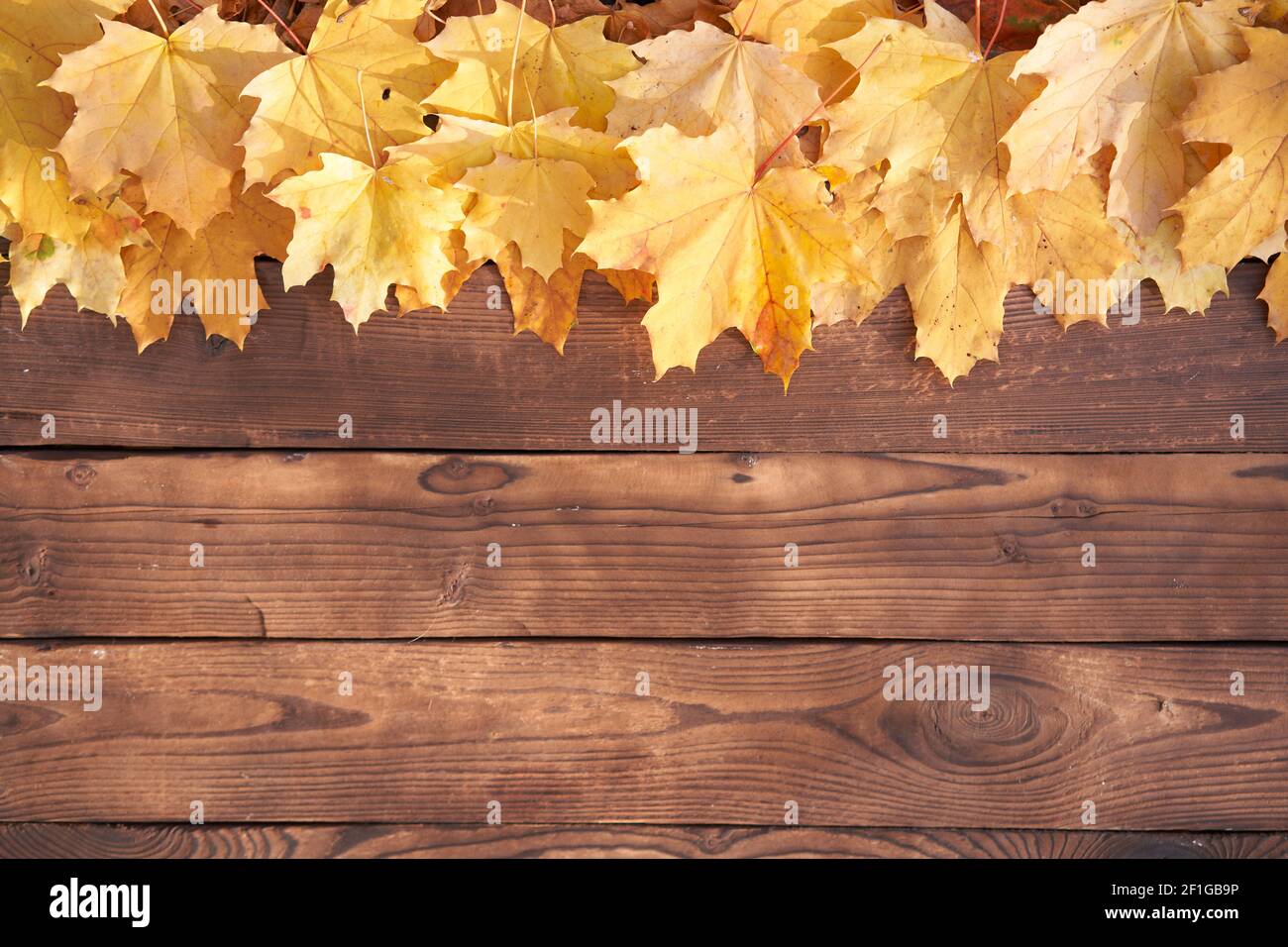 Autumn leaves frame on wooden background top view Fall Border yellow ...