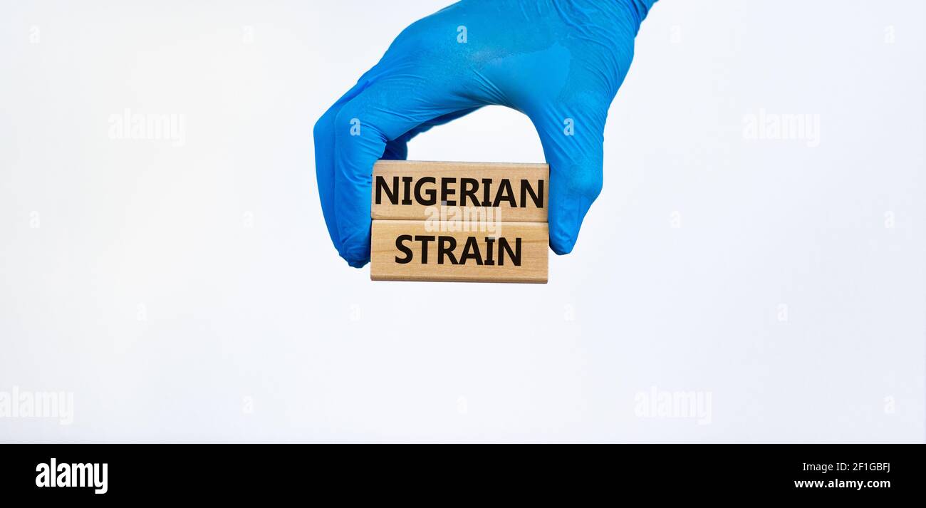 Covid-19 new nigerian strain symbol. Hand in blue glove holds wooden ...