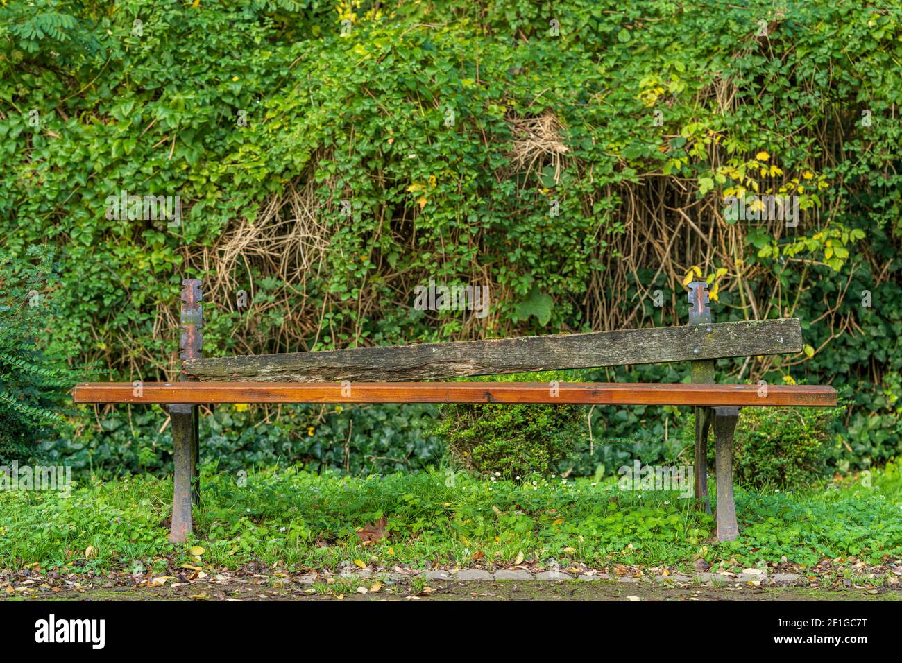 A damaged bench in the forest Stock Photo - Alamy
