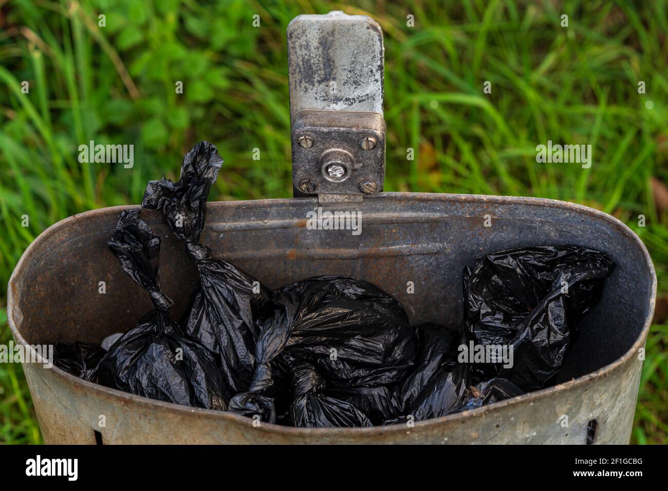Cleaned up dog waste in a bin Stock Photo - Alamy