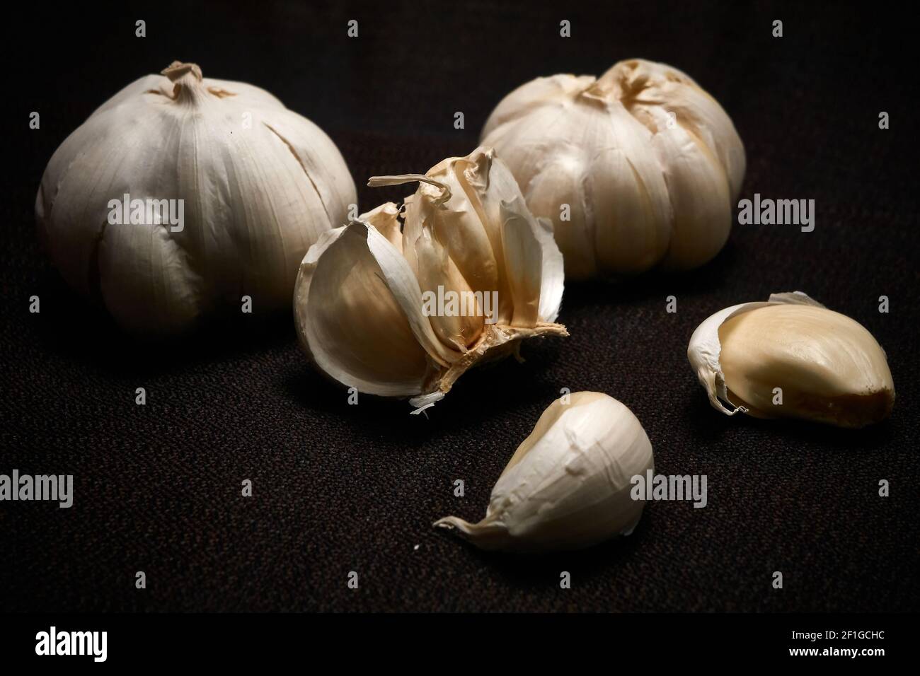 Round ligament hi-res stock photography and images - Alamy