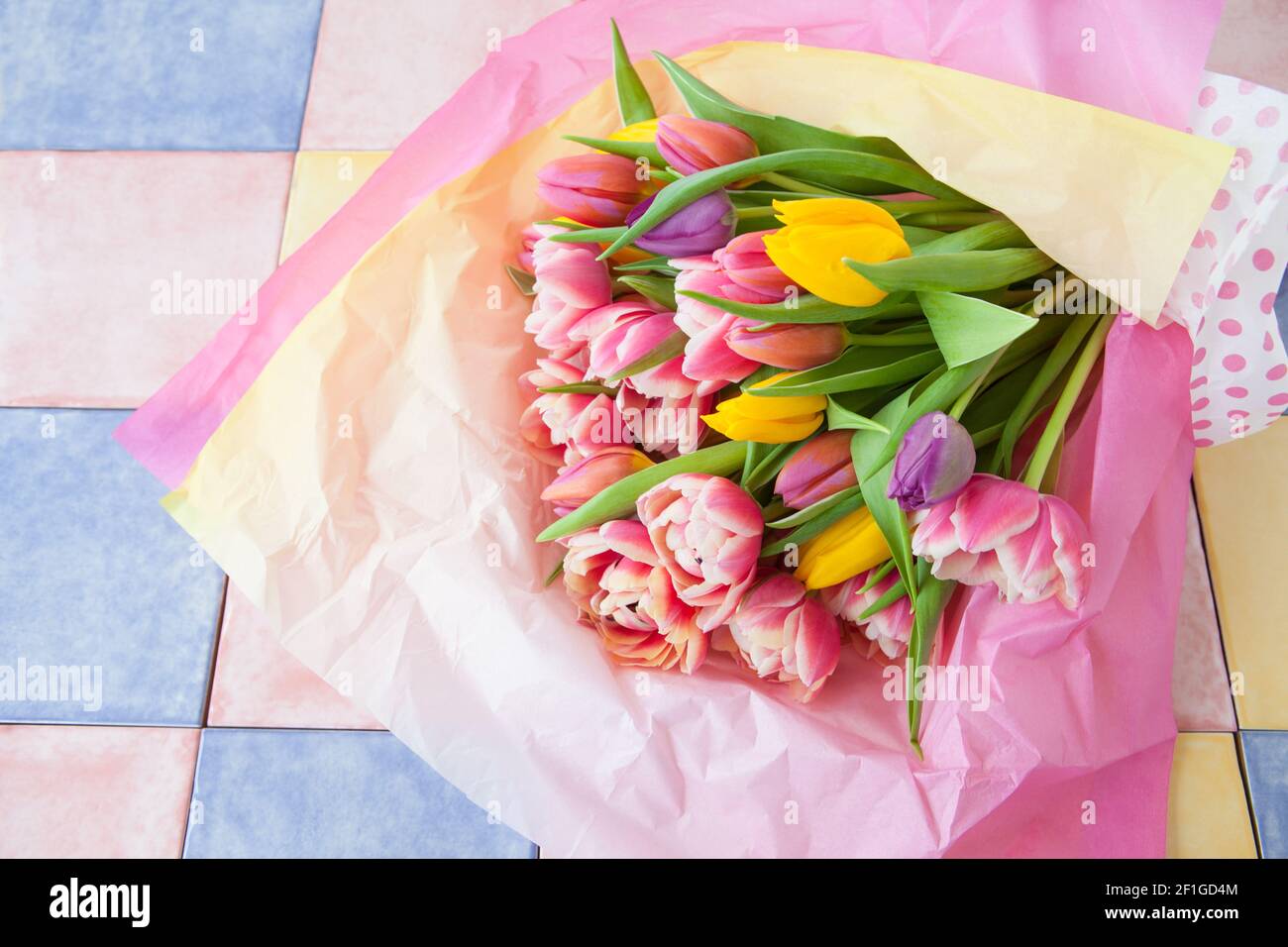 Colorful tulips in tissue paper Stock Photo - Alamy