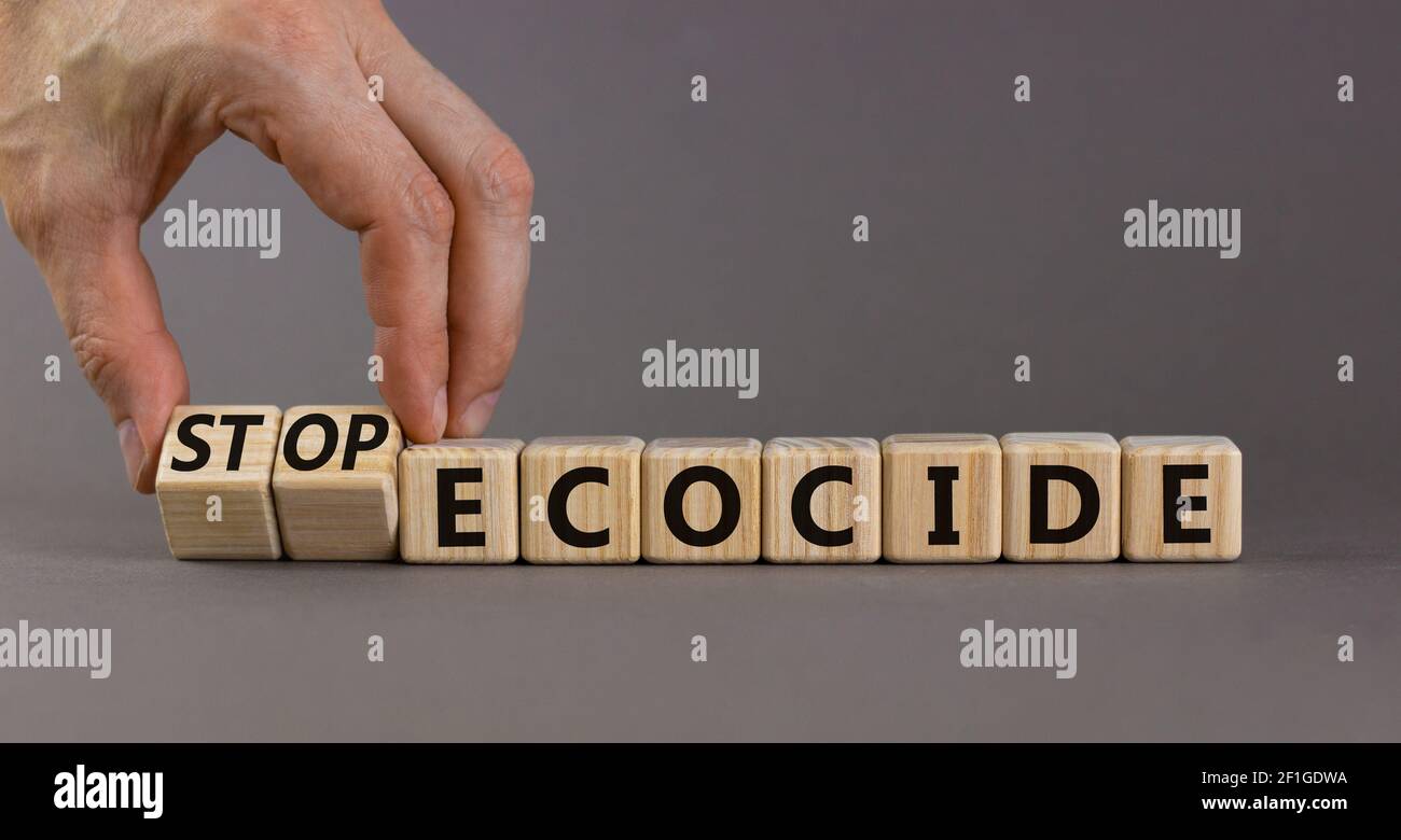 Stop ecocide symbol. Businessman turns wooden cubes and changes words ...