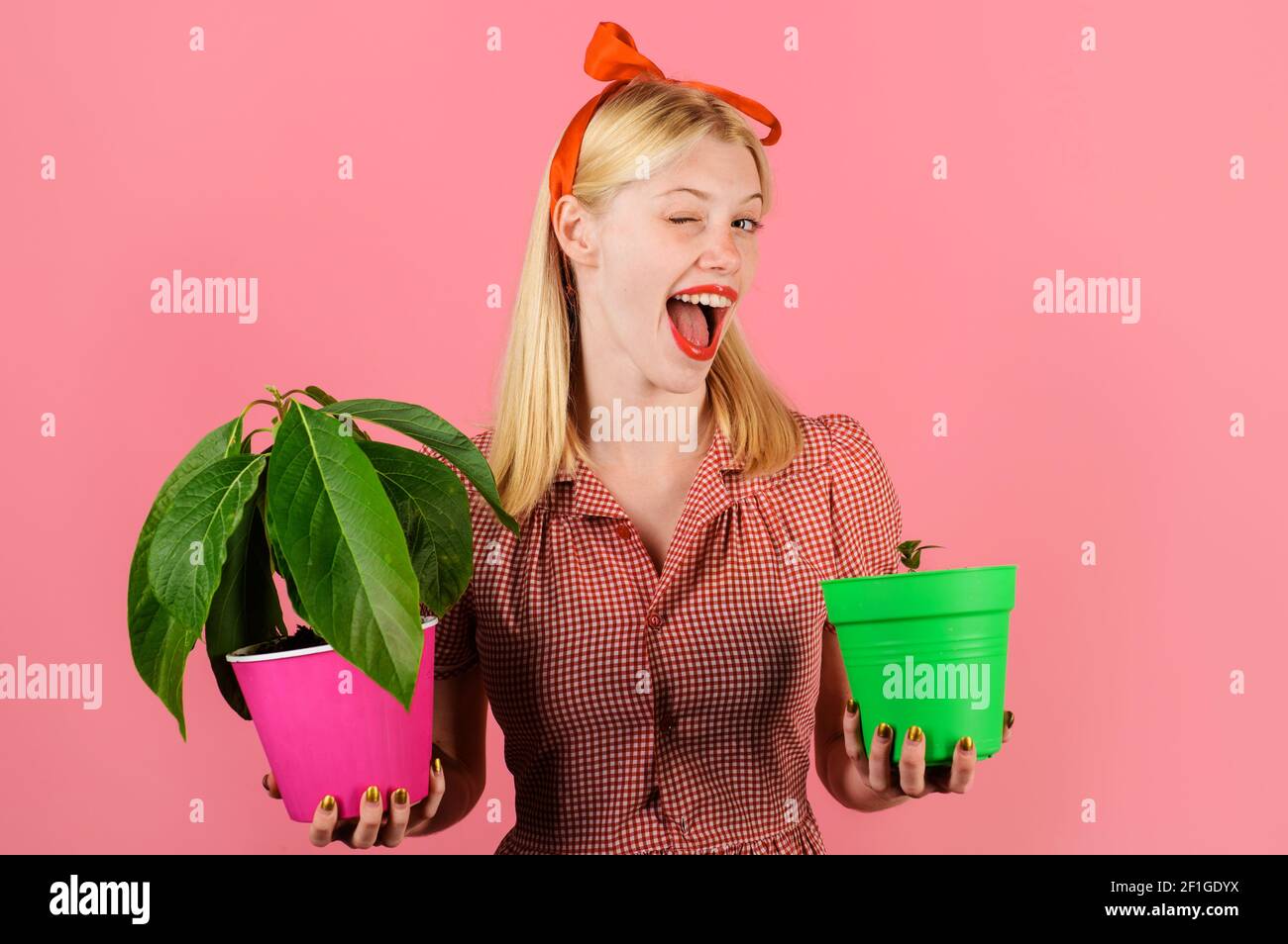 Houseplant. Winking girl with flower in pot. Woman gardener with potted ...