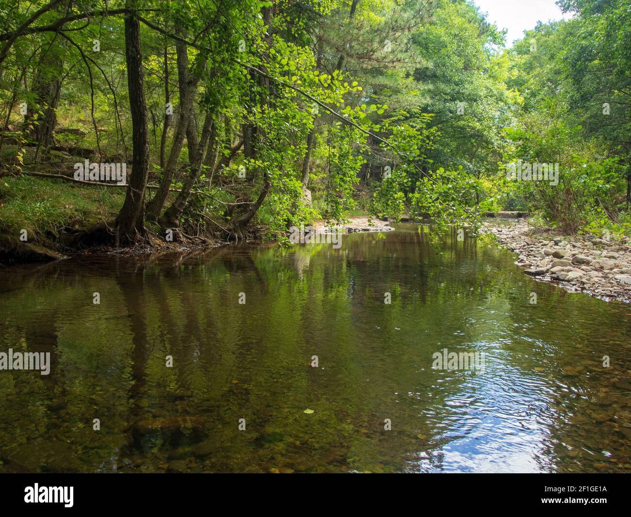 Heaven in the Mount Ida ( in Turkish: Kazdagi, meaning Goose Mountain ...