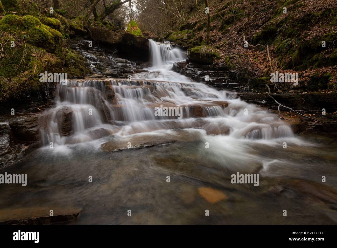 Melincourt hi-res stock photography and images - Alamy