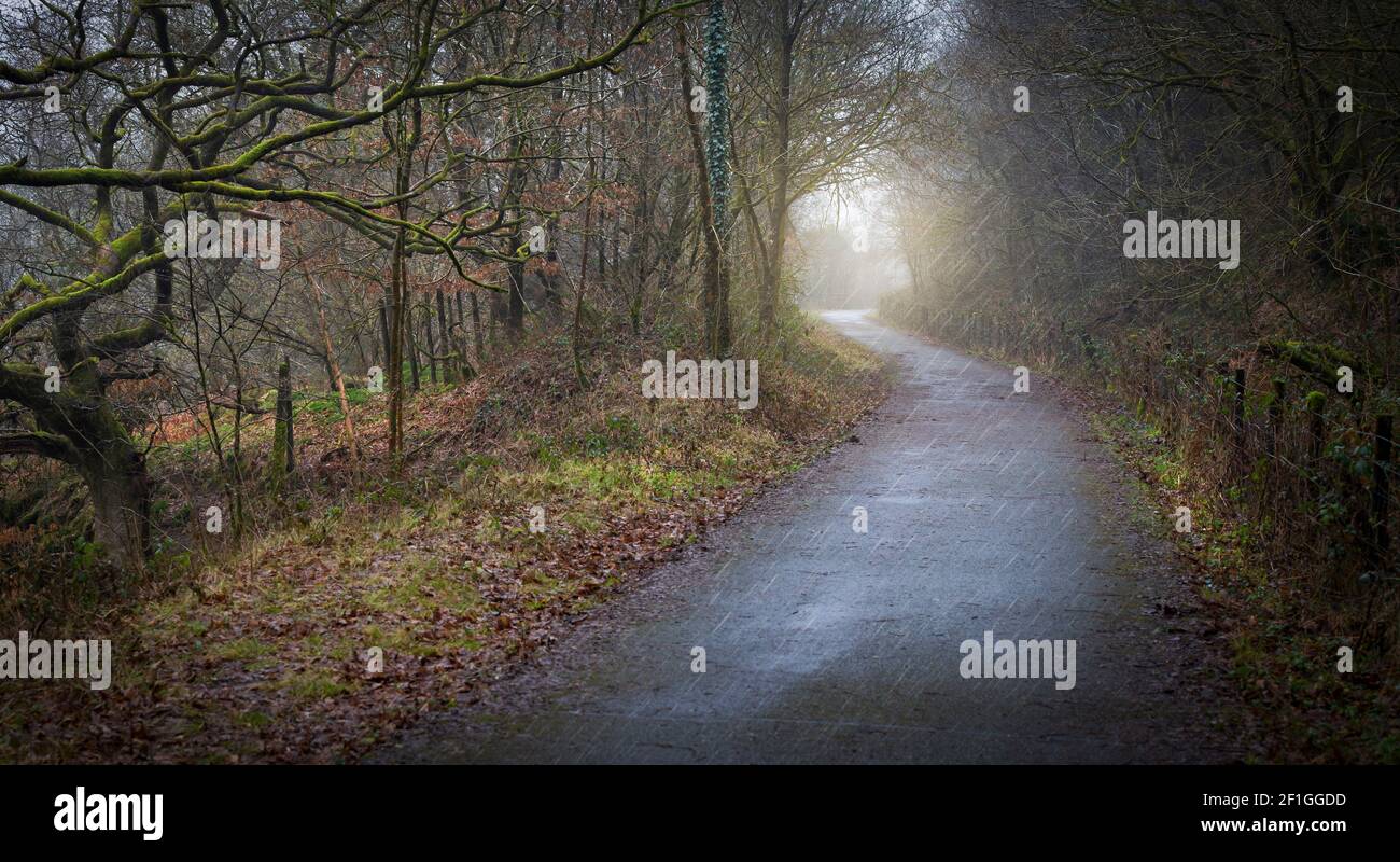 Pathway walkway hi-res stock photography and images - Alamy