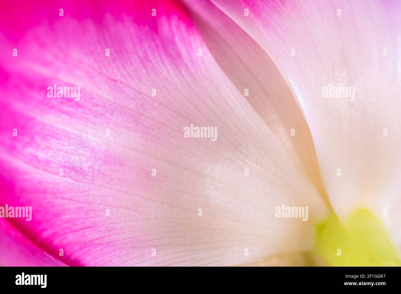 6 colors hi-res stock photography and images - Alamy