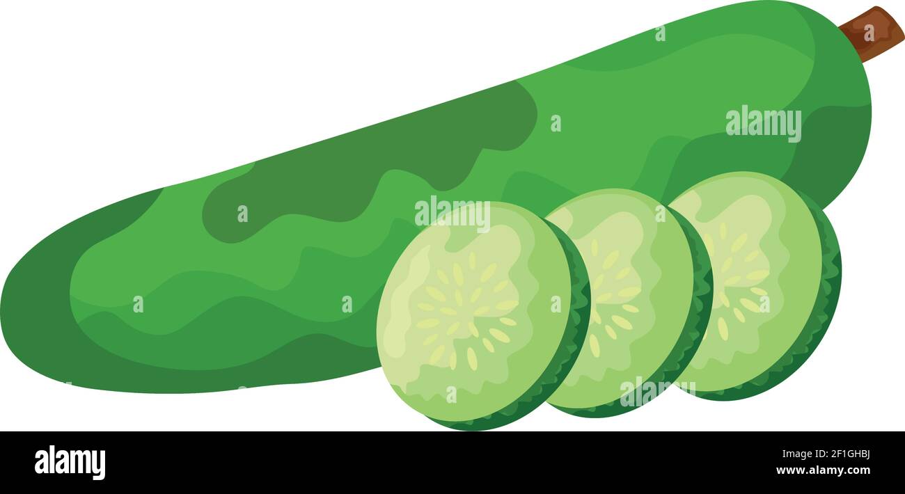 cucumber fresh vegetable Stock Vector Image & Art - Alamy