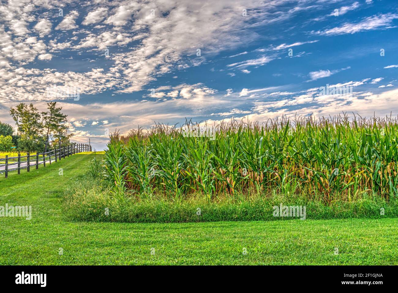 Harvest beauty shot hi-res stock photography and images - Alamy