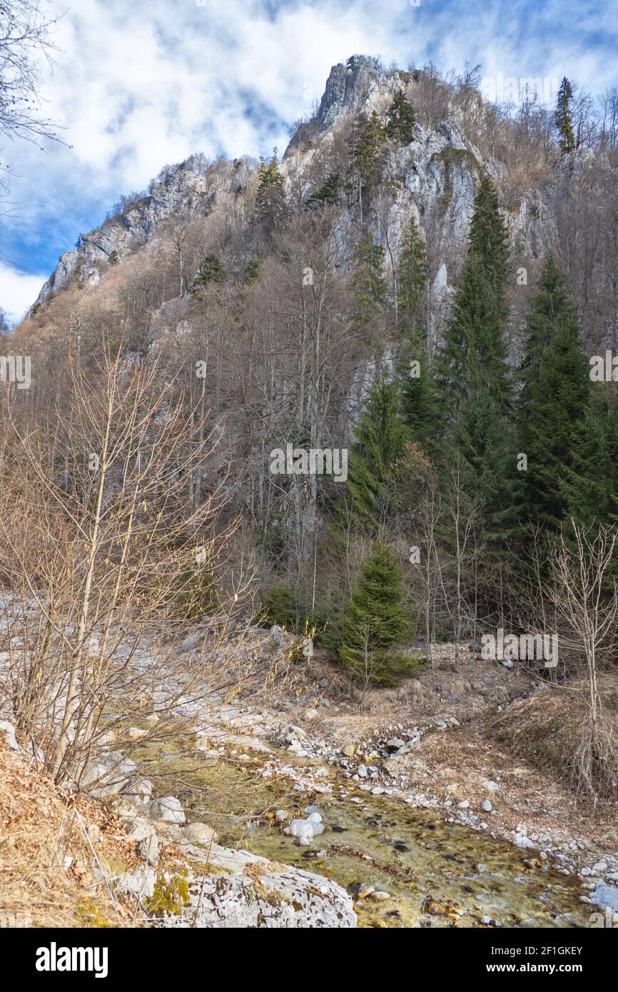 Cerna valley in Valcea county, Romania Stock Photo - Alamy