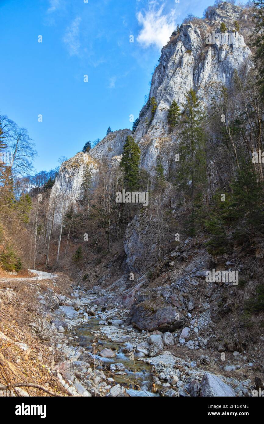 Cerna valley in Valcea county, Romania Stock Photo - Alamy