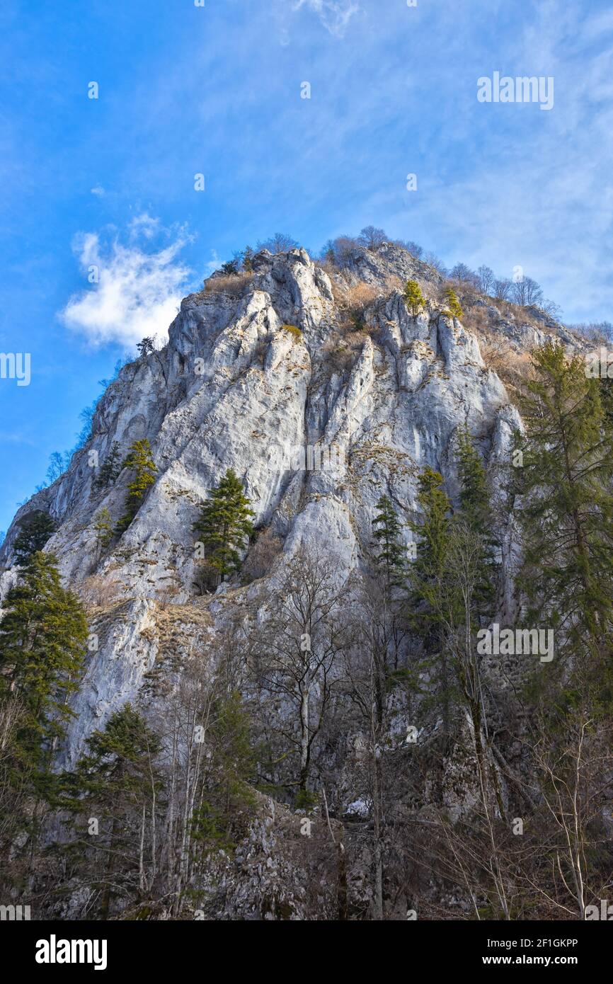 Cerna hi-res stock photography and images - Alamy