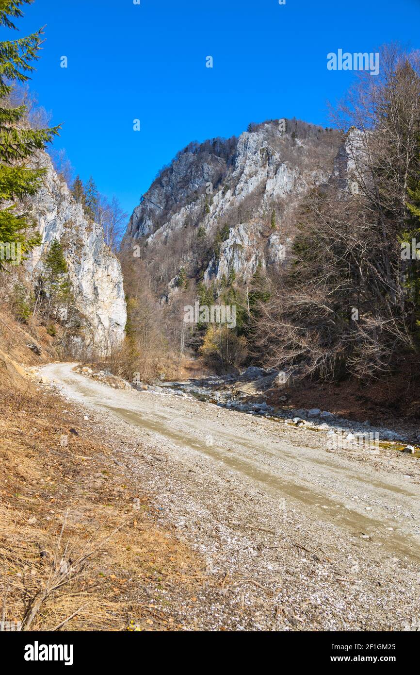 Cerna valley in Valcea county, Romania Stock Photo - Alamy