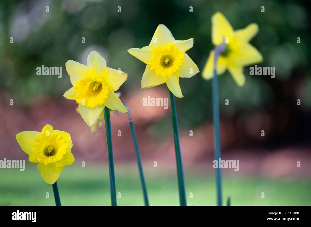 Geometric arrangement hi-res stock photography and images - Alamy