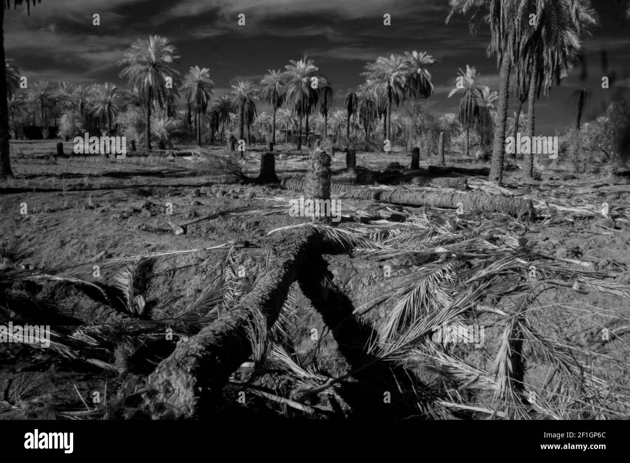 Basra desert hi-res stock photography and images - Alamy