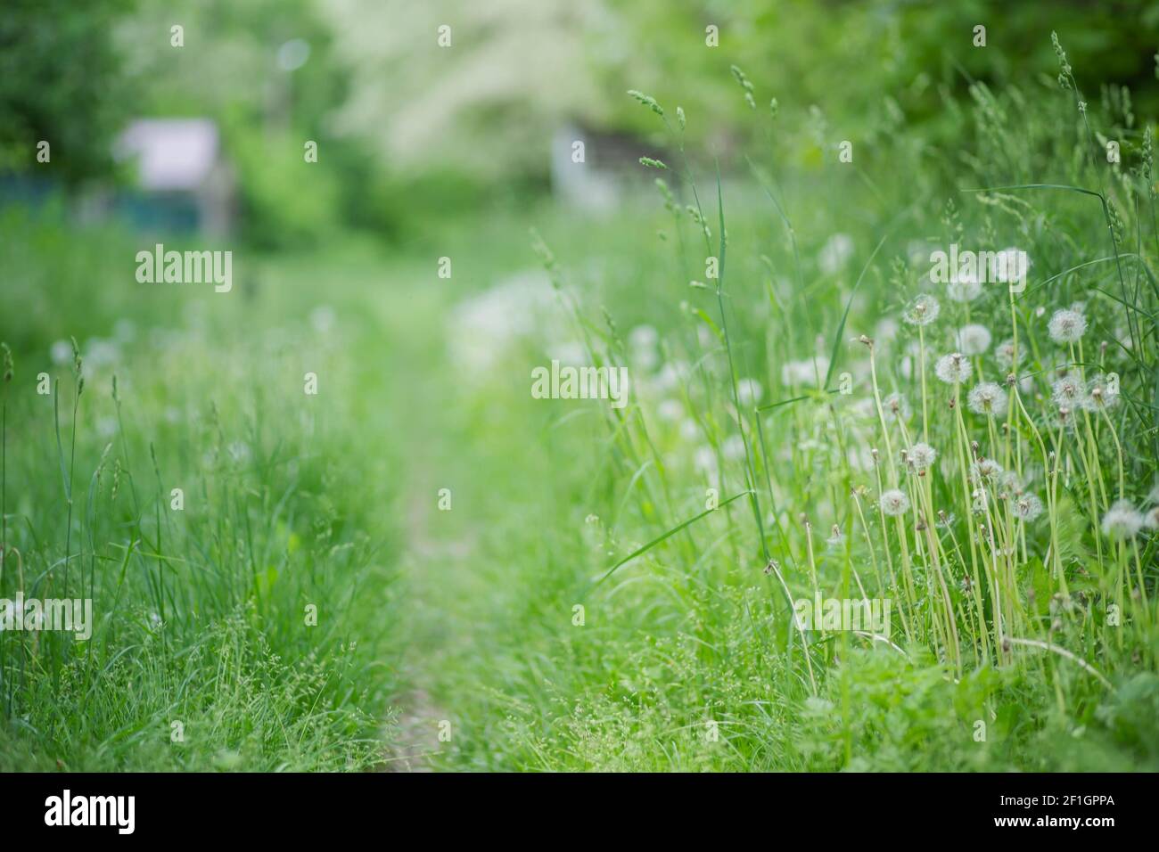 Non stinky hi-res stock photography and images - Alamy