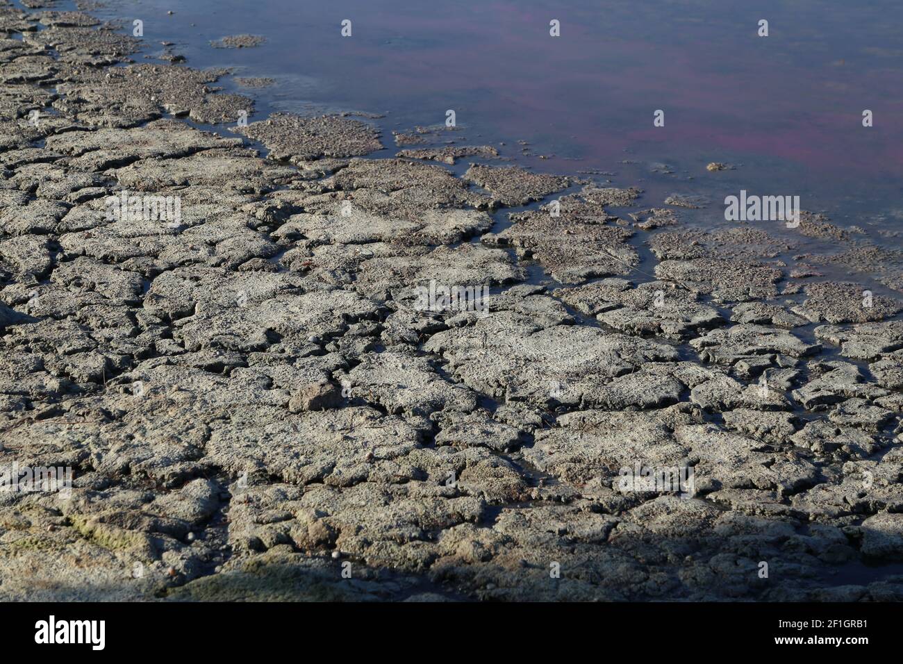 Cracked mud coast salt hi-res stock photography and images - Alamy