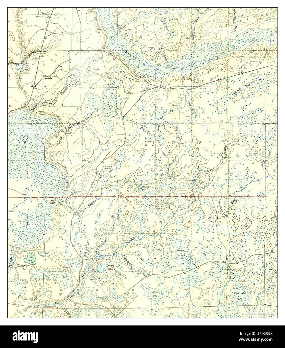 Woods, Florida, map 1945, 1:31680, United States of America by Timeless ...