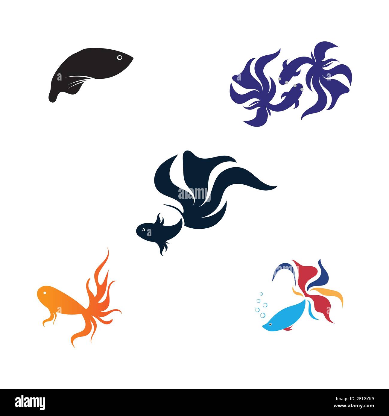 Fish animal aquatic logo beta fish design vector and illustration Stock ...