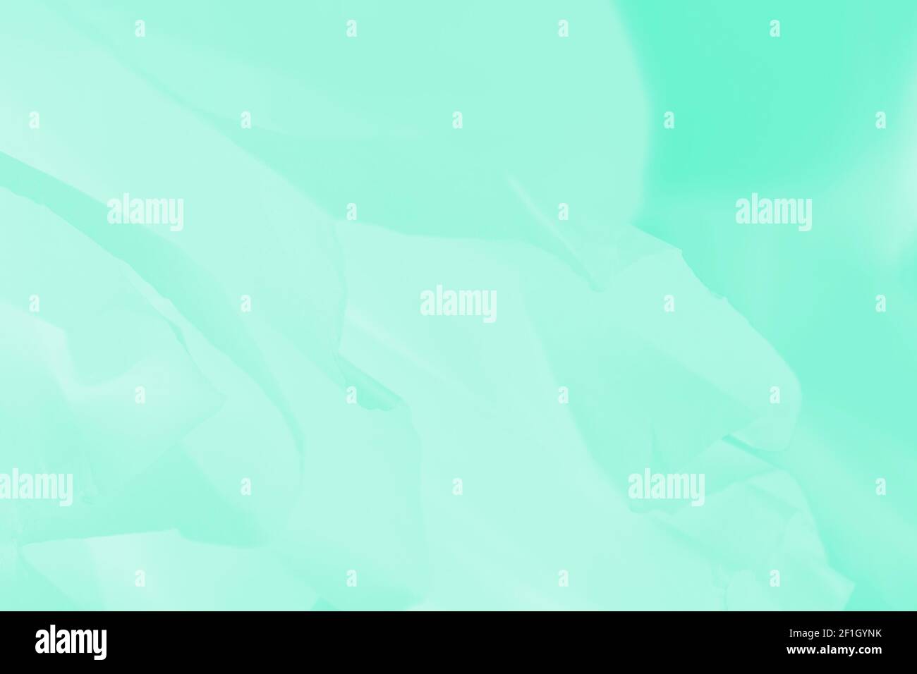 Light Mint Background