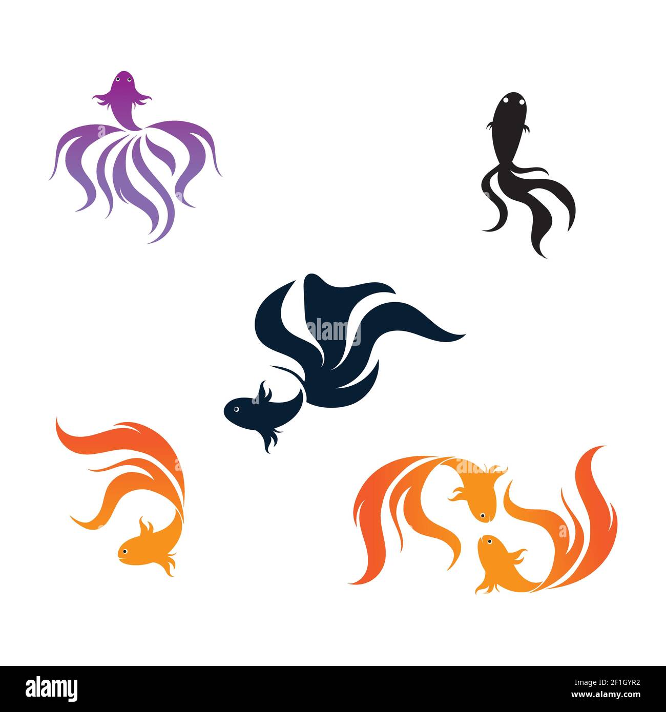 Fish animal aquatic logo beta fish design vector and illustration Stock ...