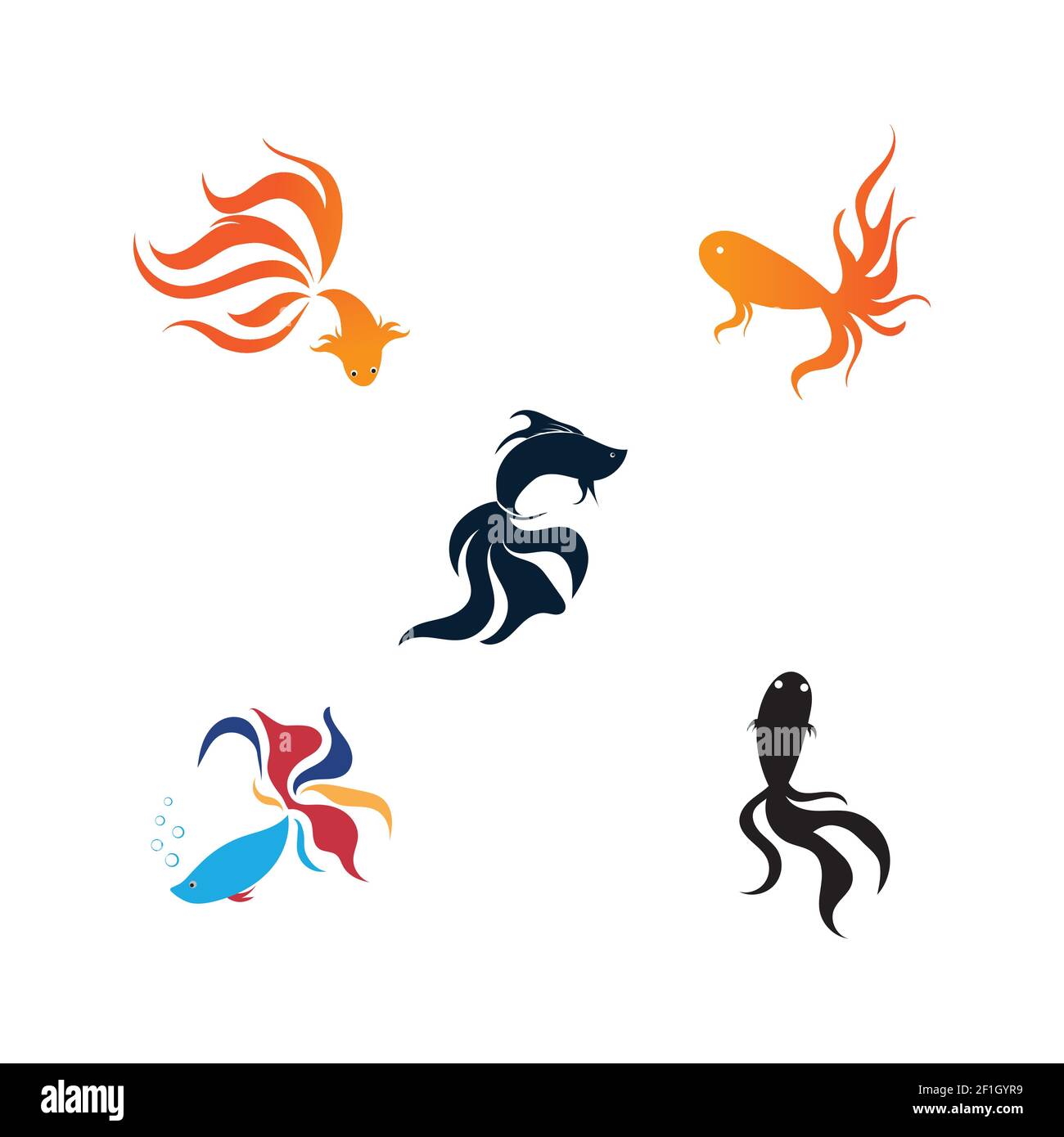 Fish animal aquatic logo beta fish design vector and illustration Stock ...