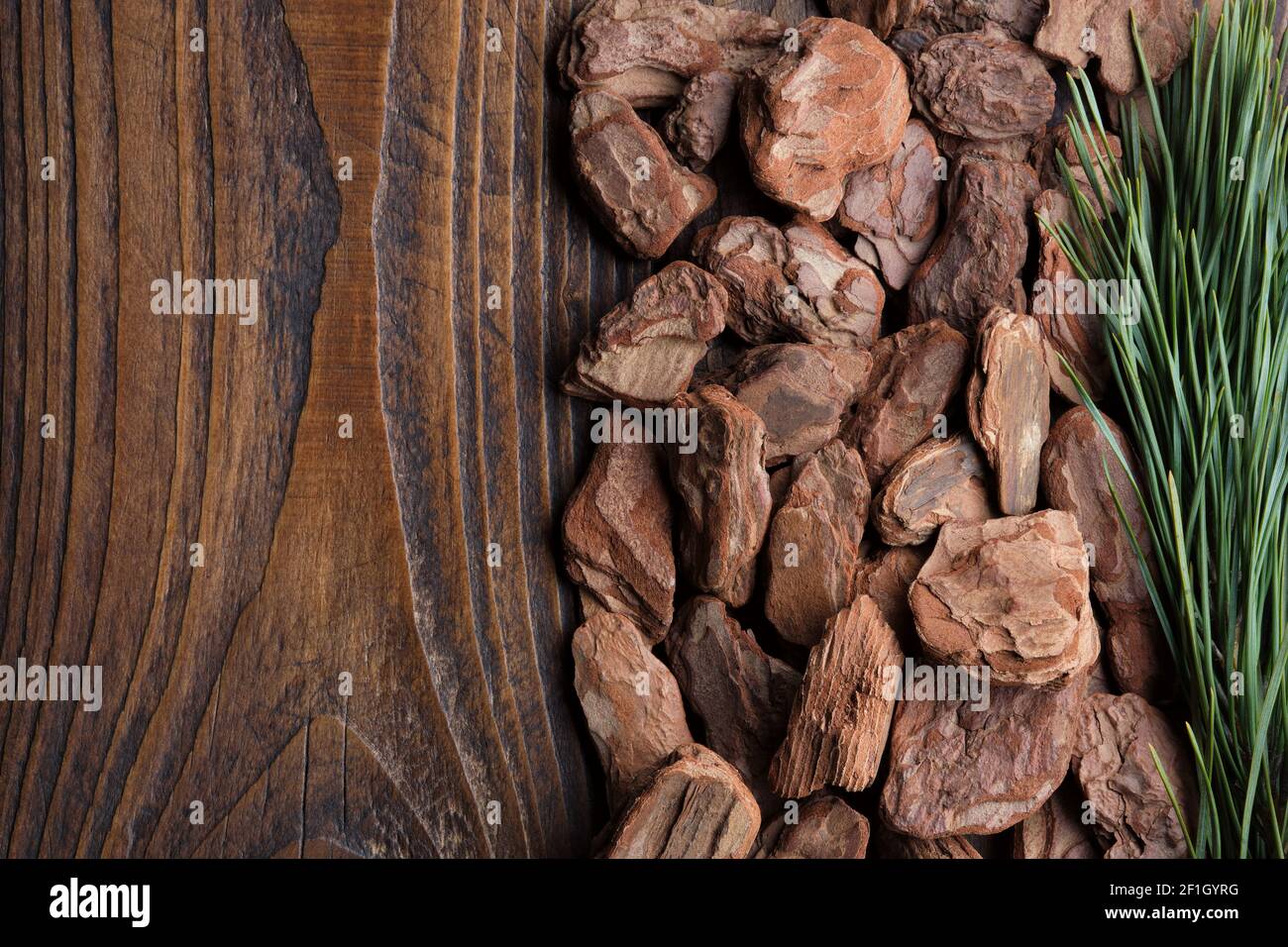 Vintage pine tree hi-res stock photography and images - Alamy