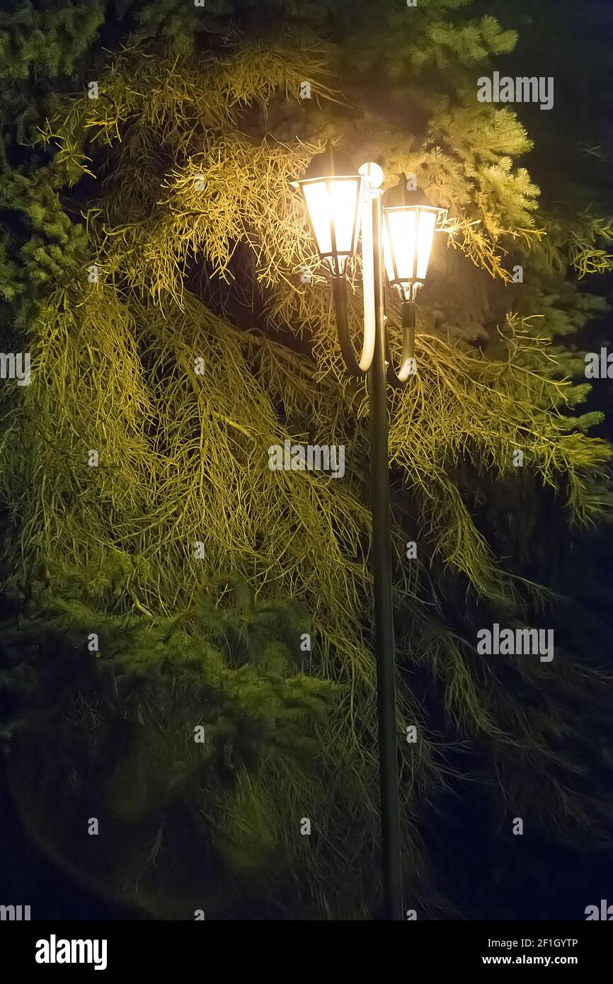 street lamp with two vintage shades on the background of a tree at ...