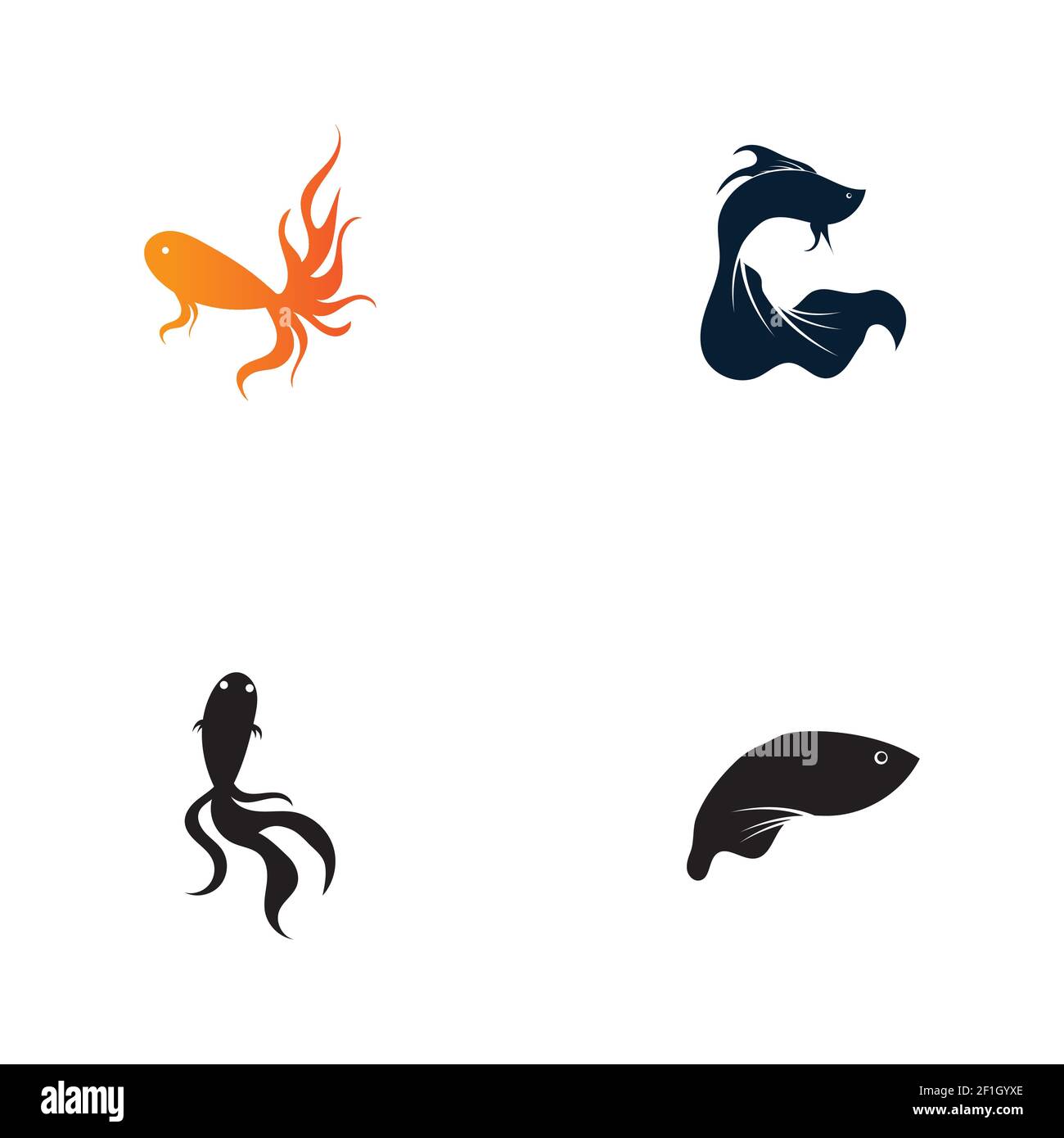 Fish animal aquatic logo beta fish design vector and illustration Stock ...