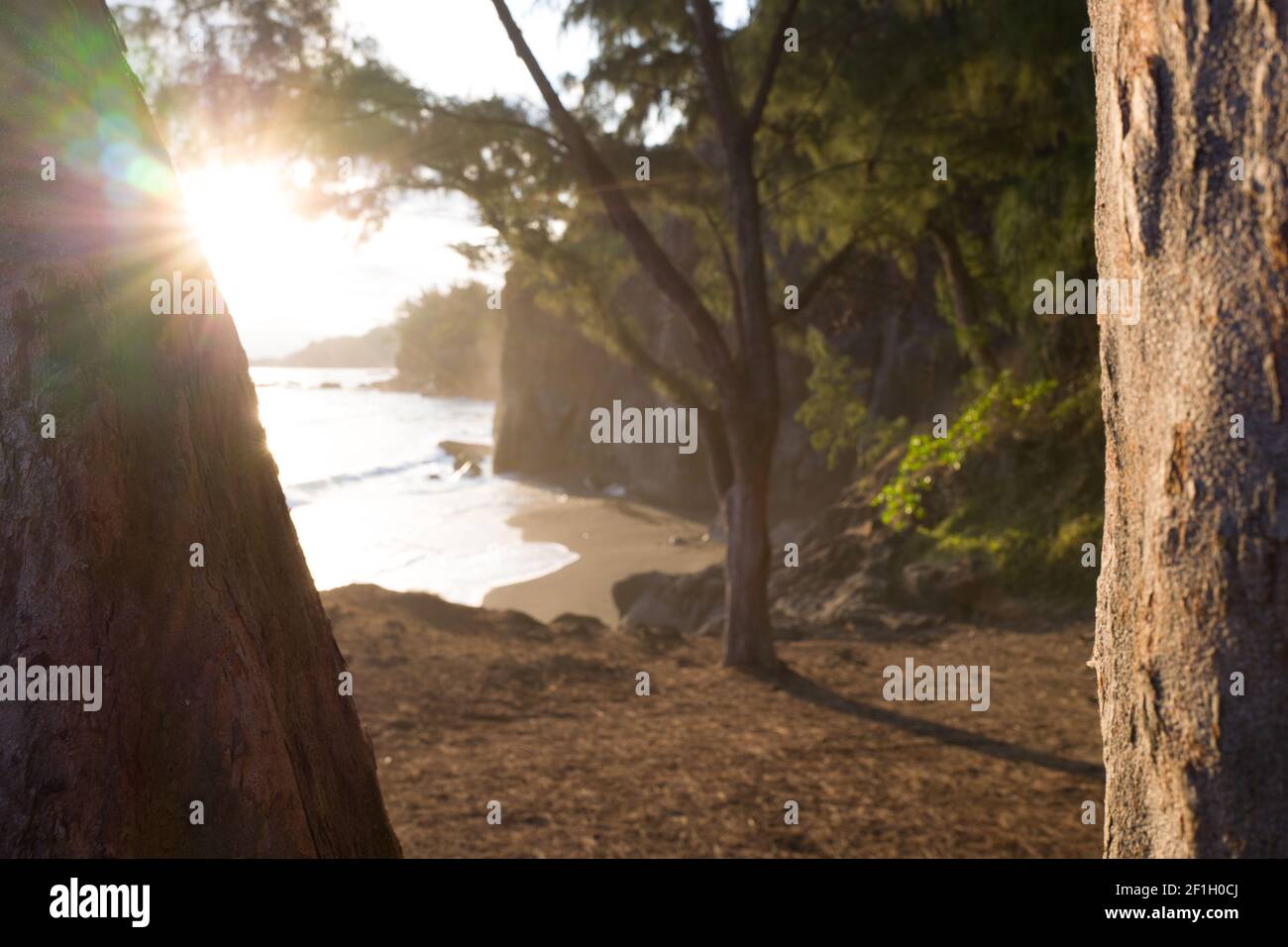 beautiful beach - Travelling on La Réunion Island Stock Photo - Alamy