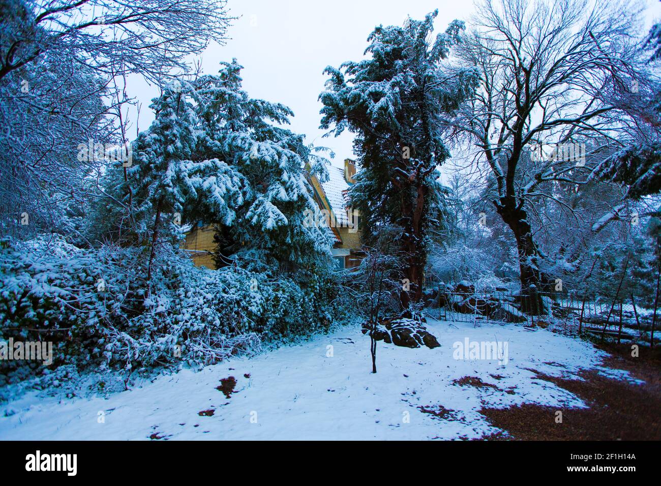 Small house in a forest full of snow Stock Photo - Alamy