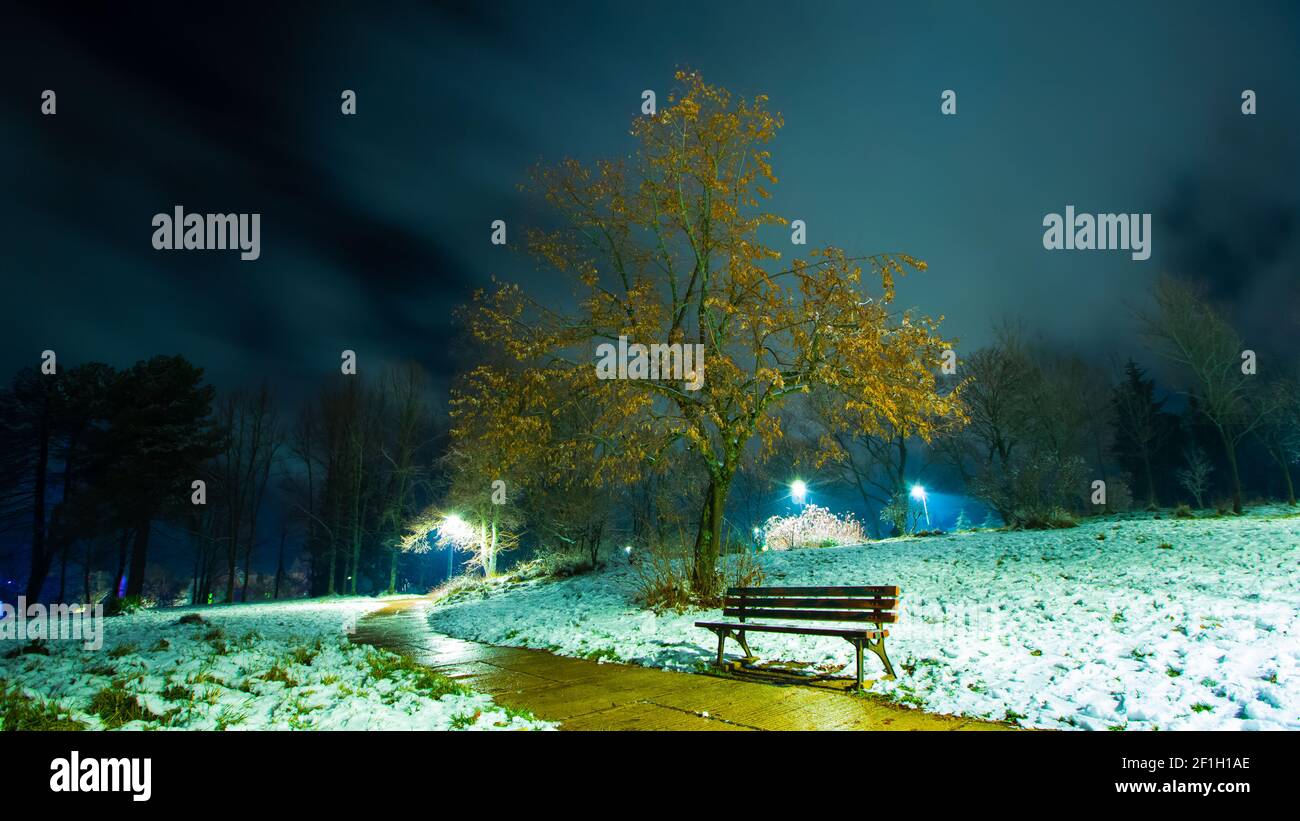 Night sky with tree hi-res stock photography and images - Alamy