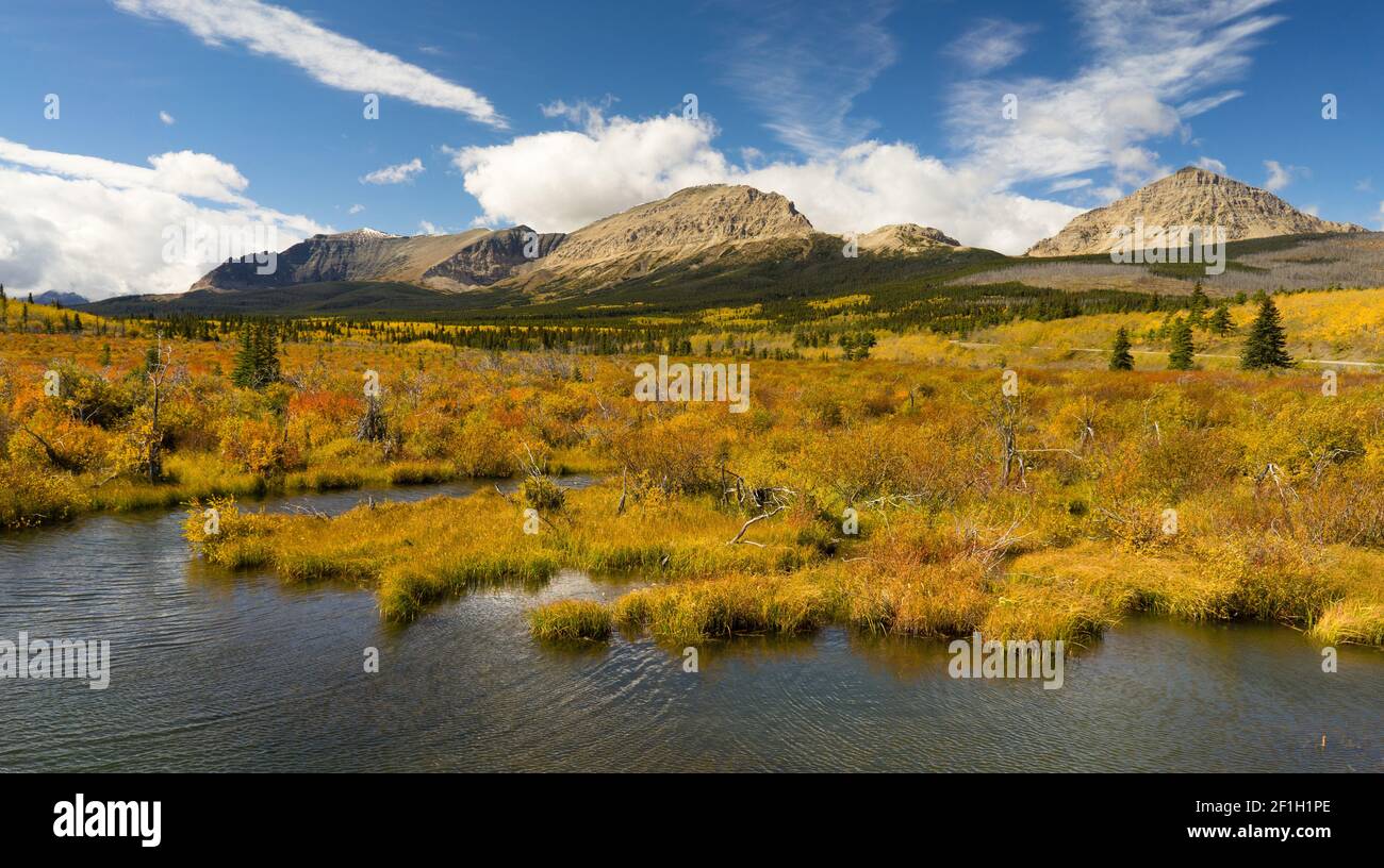 Marsh Area Rural Montana Territory American Rocky Mountains Stock Photo ...