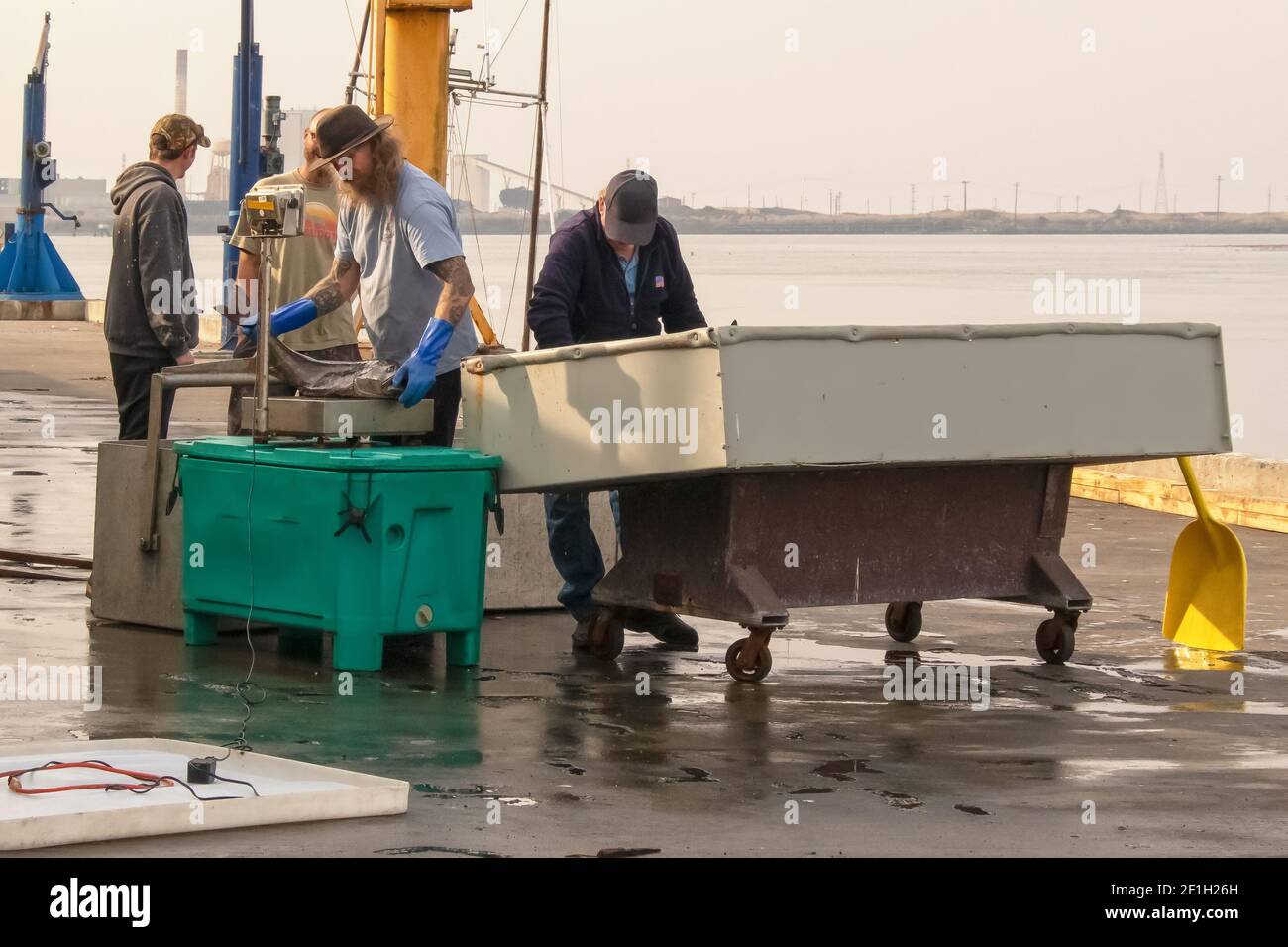Food measurement scales hi-res stock photography and images - Alamy