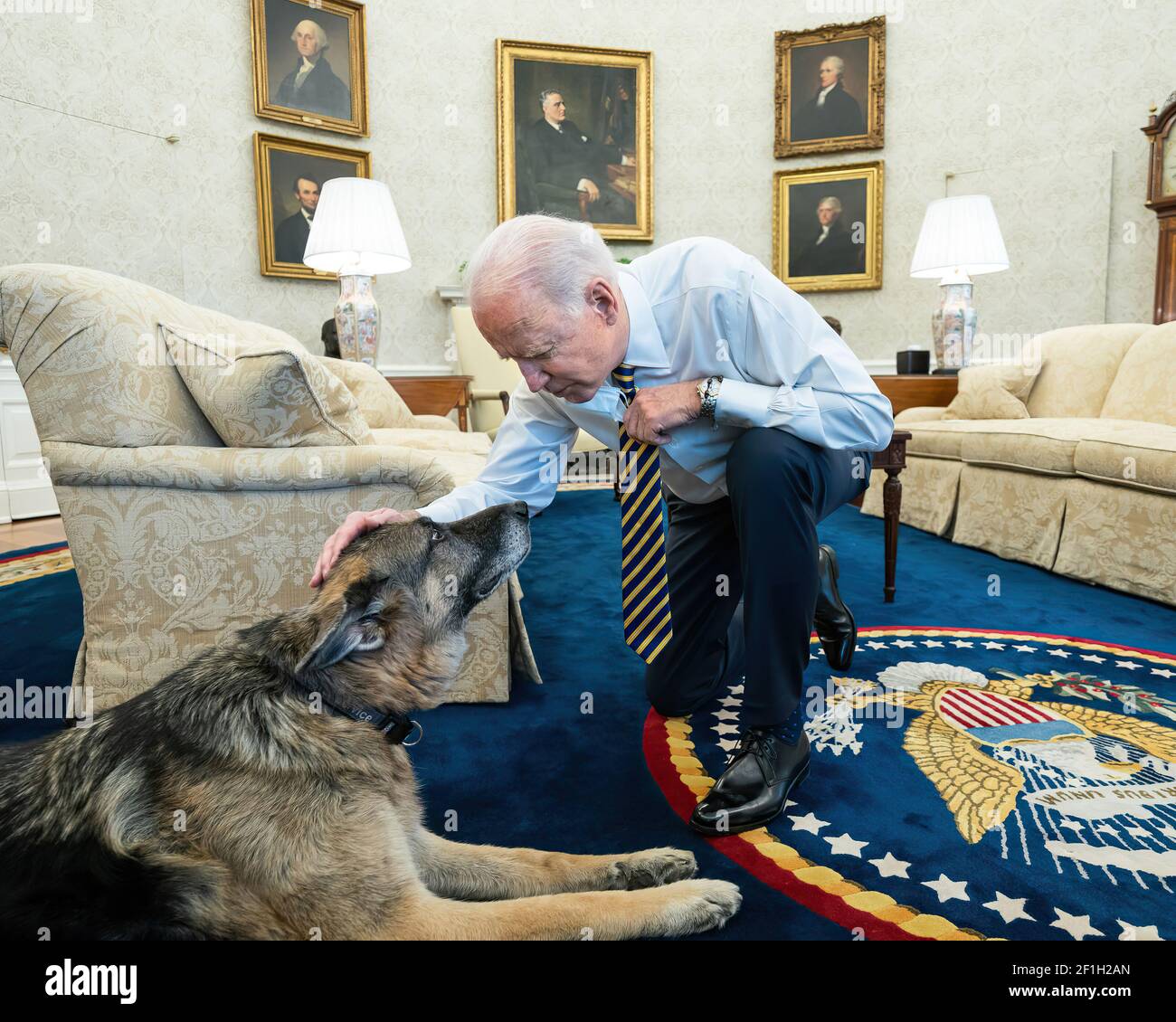 Joe biden dog champ hi-res stock photography and images - Alamy