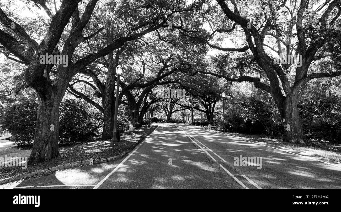 Roadway cover hi-res stock photography and images - Alamy