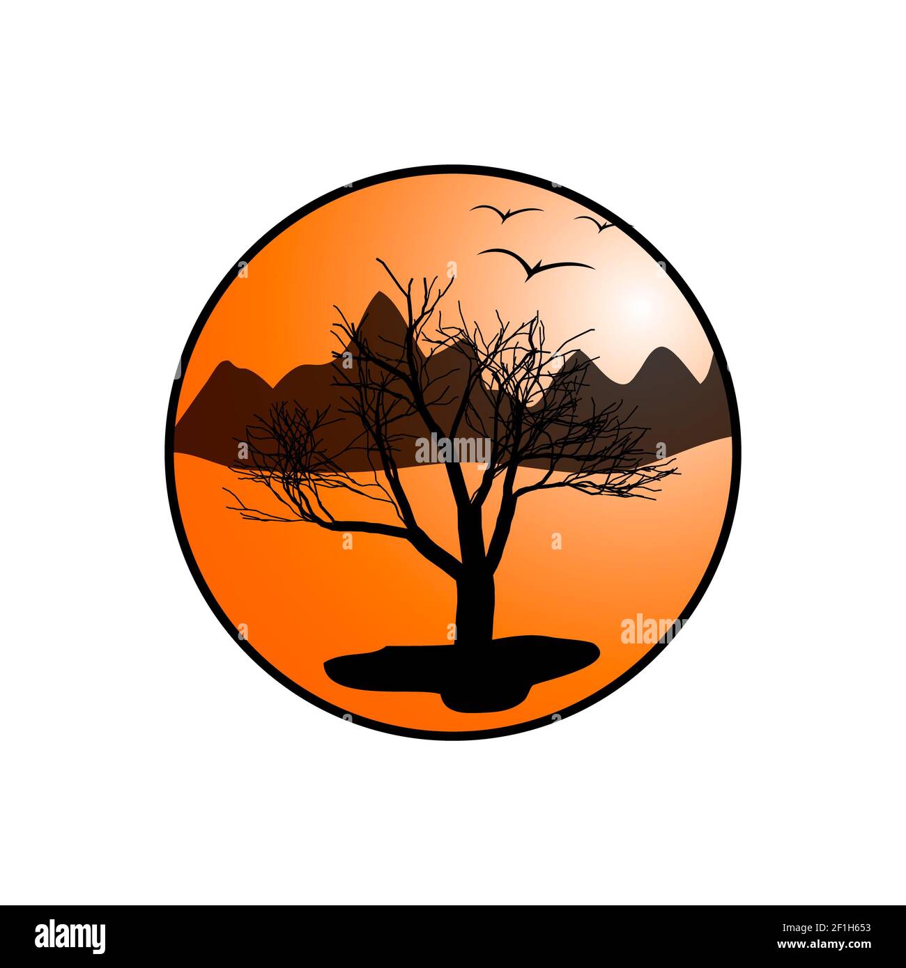 Dry tree plants in Cut Out Stock Images & Pictures - Alamy