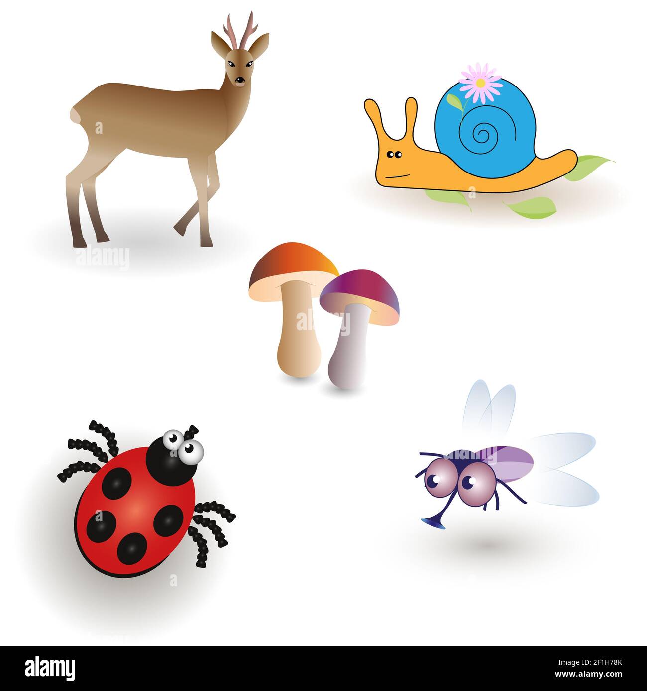 Living beings hi-res stock photography and images - Alamy