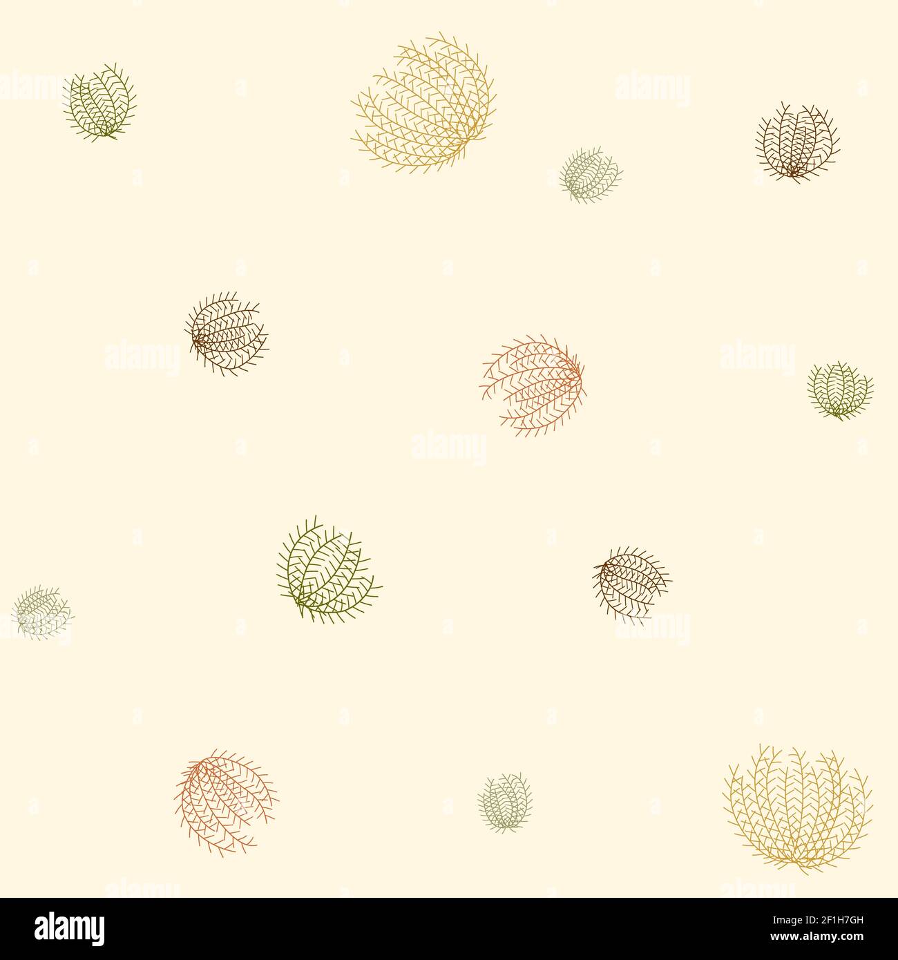 Tumbleweed plant hi-res stock photography and images - Alamy