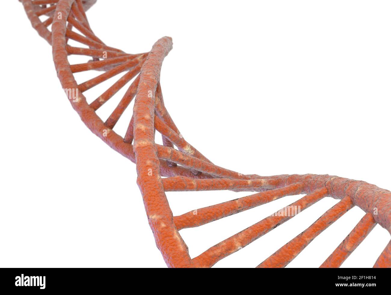 DNA molecule structure isolated in white. 3d illustration Stock Photo ...