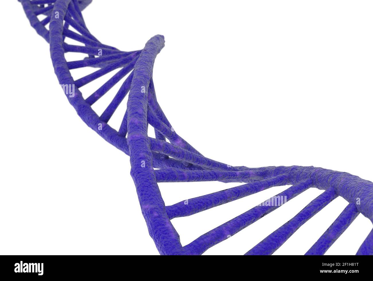 DNA molecule structure isolated in white. 3d illustration Stock Photo ...