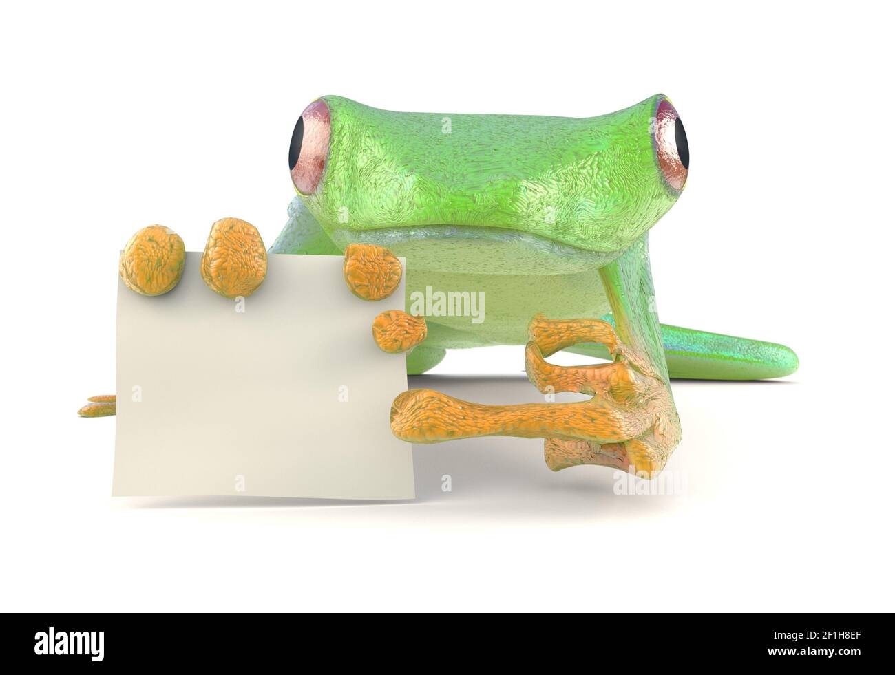 Green tree red eye frog with a blank sign pointing by toe 3d ...